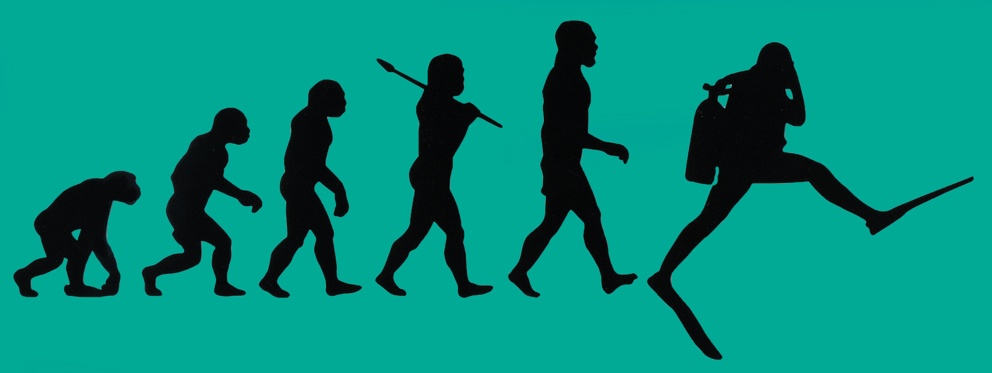 evolution | Waterdog Photography