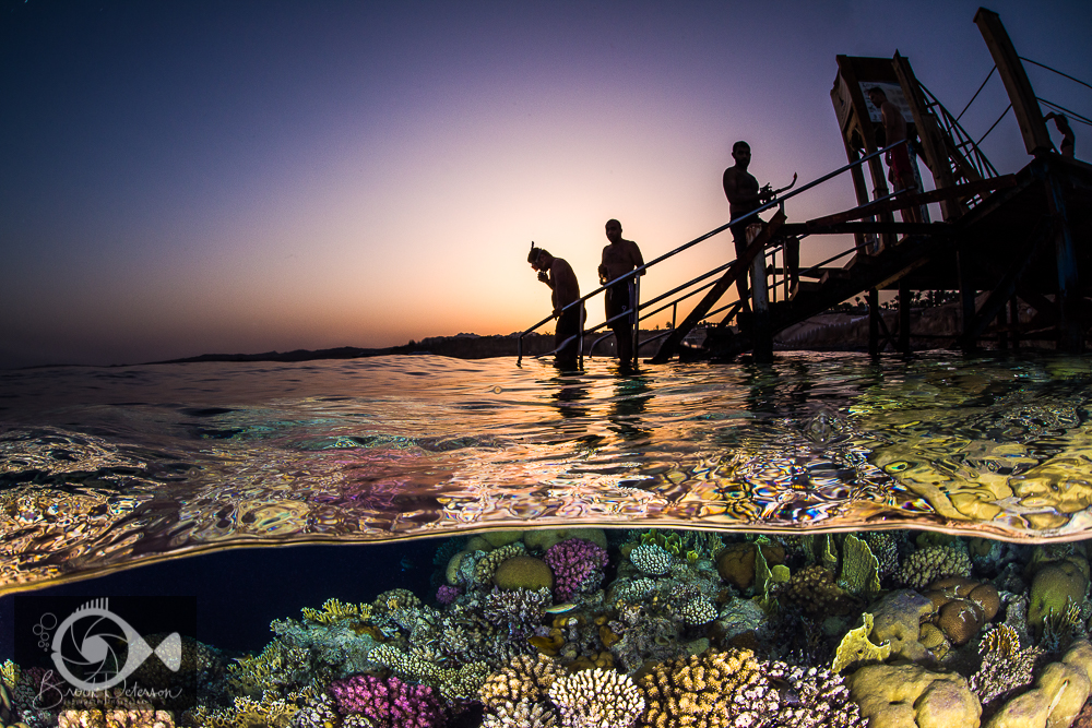 Over Under Split Shot Half Half underwater photography | Waterdog ...