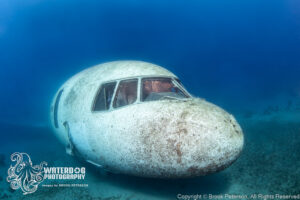 Tristar Wreck Outside Cockpit | Waterdog Photography