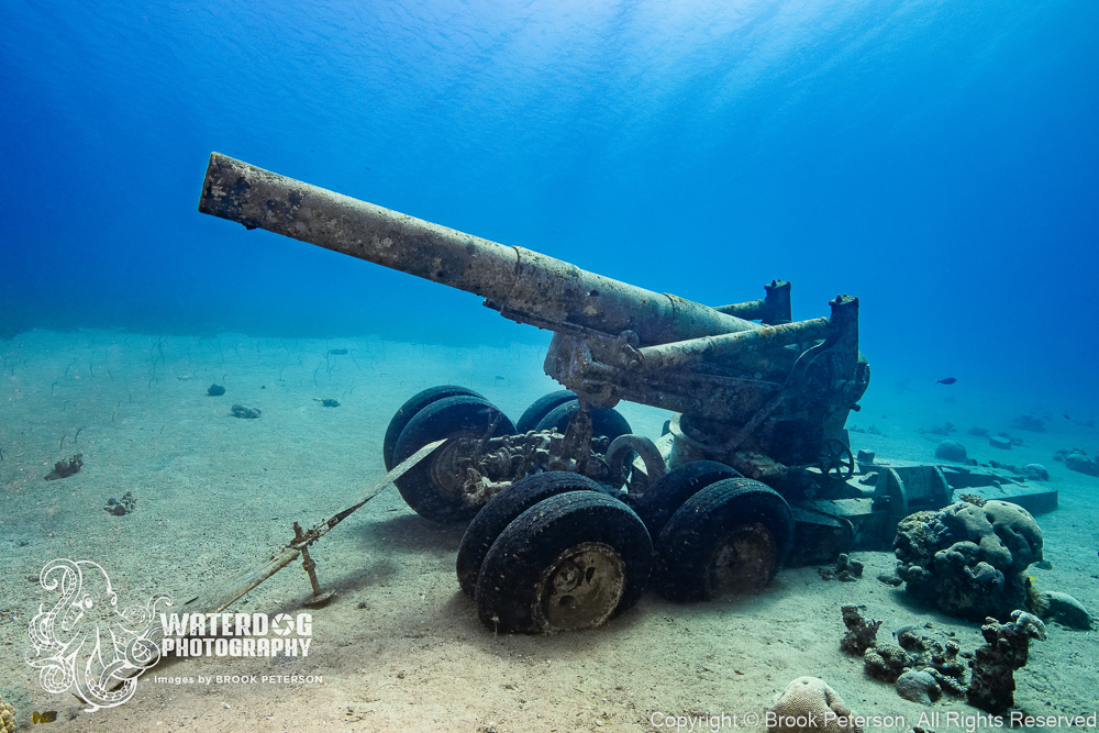 Canon Under the Sea | Waterdog Photography