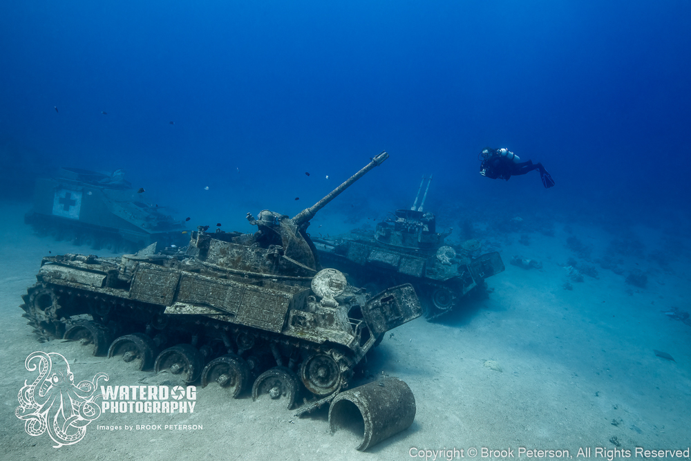 Tanks in Formation | Waterdog Photography