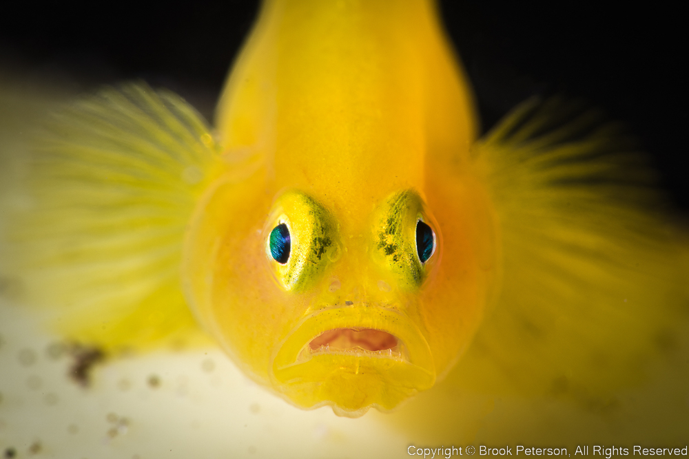 Keeping Your Focus: A Creative Guide | Waterdog Photography